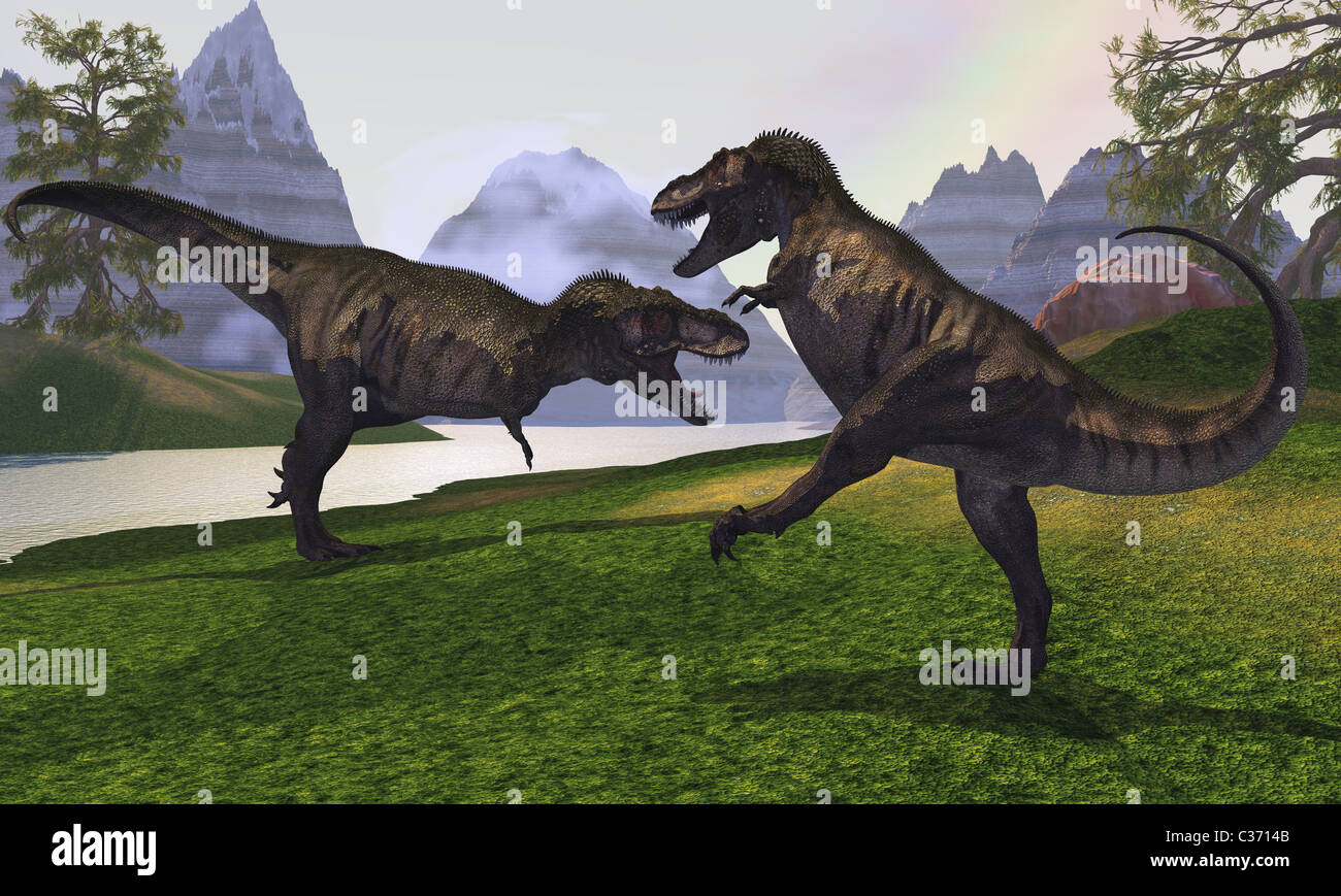 Two Tyrannosaurus Rex dinosaurs fight for the right of a territory ...