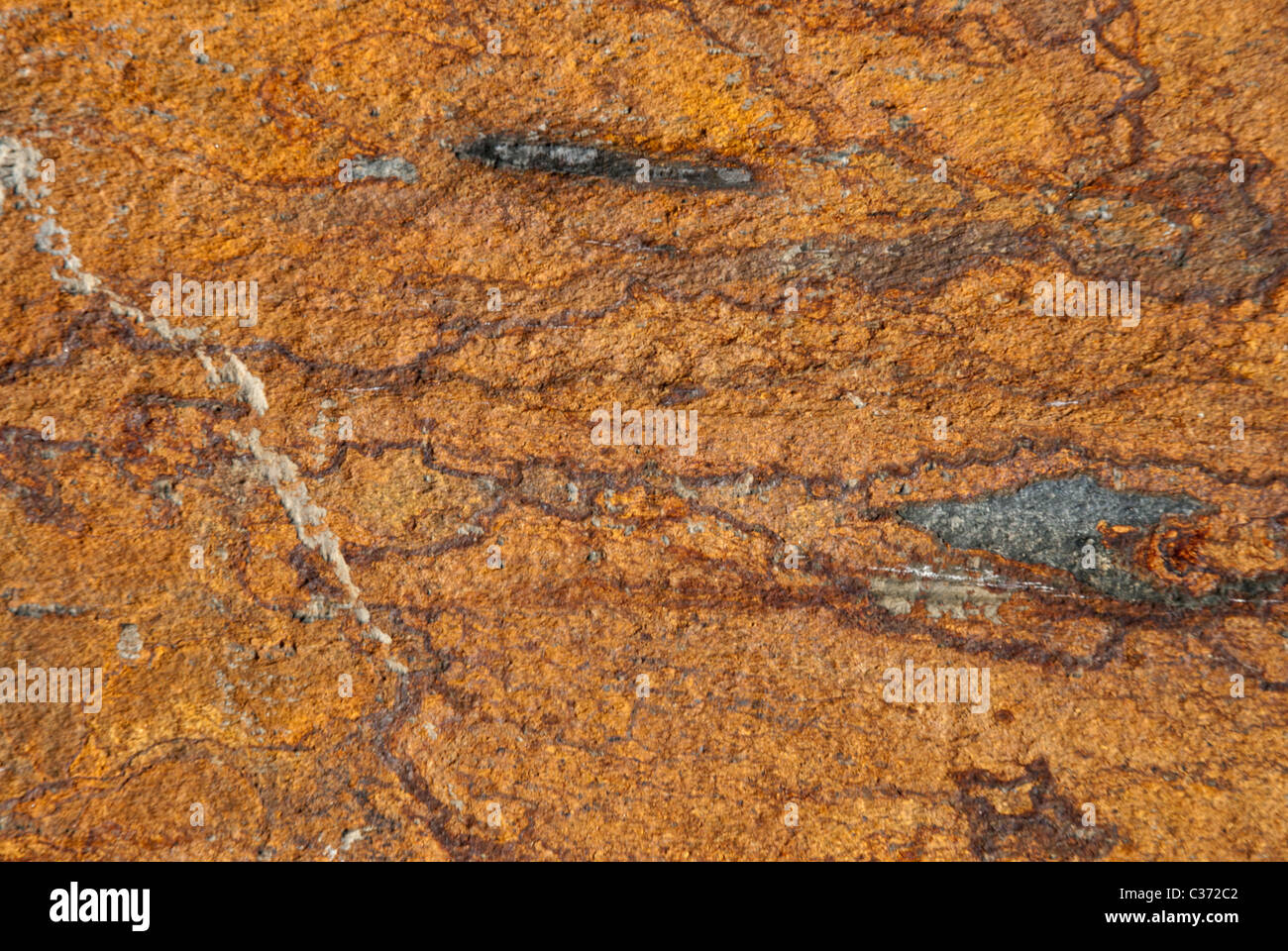 Background texture of earthy colored shale stone Stock Photo - Alamy
