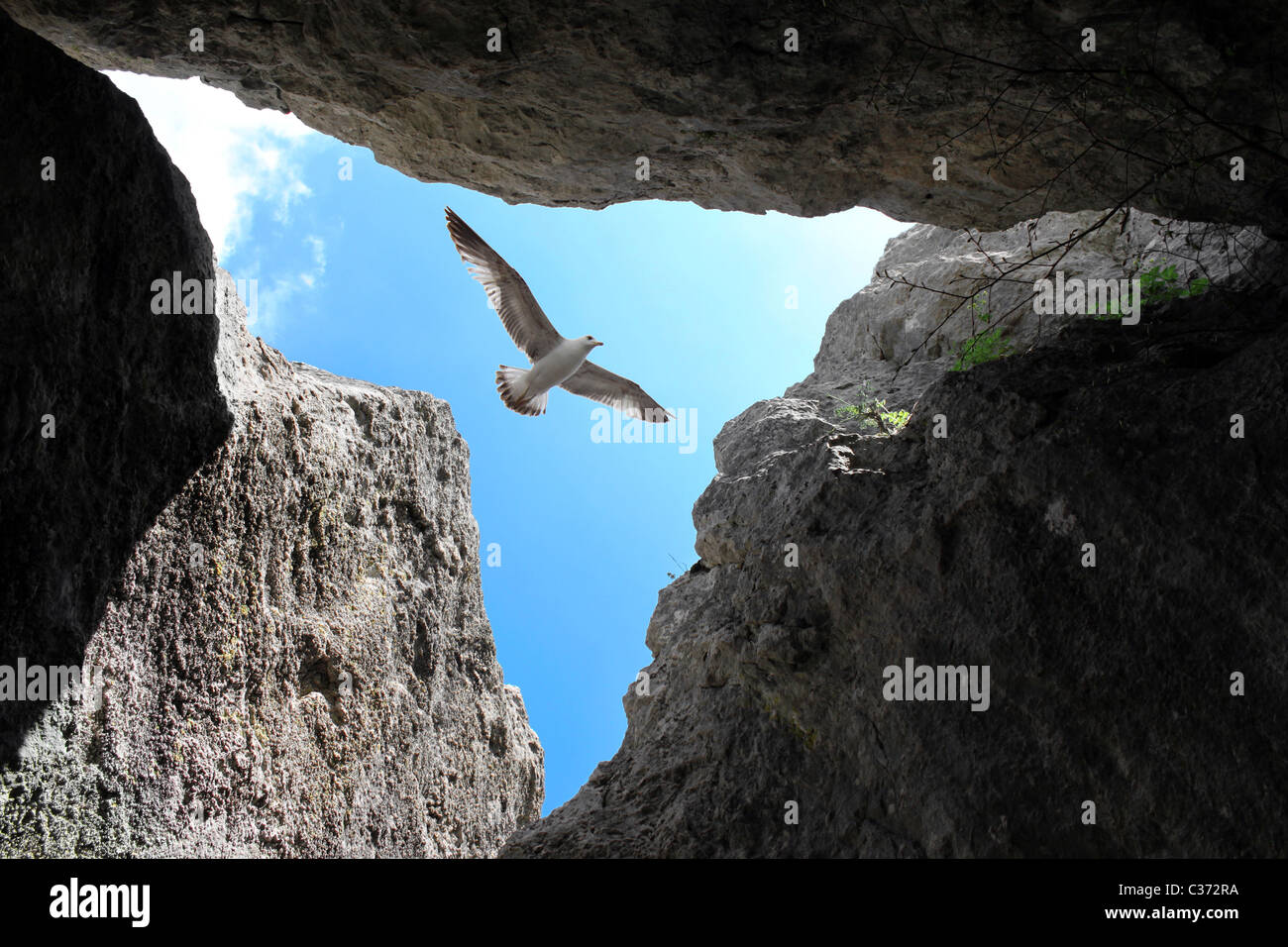 Cleft rock hi-res stock photography and images - Alamy