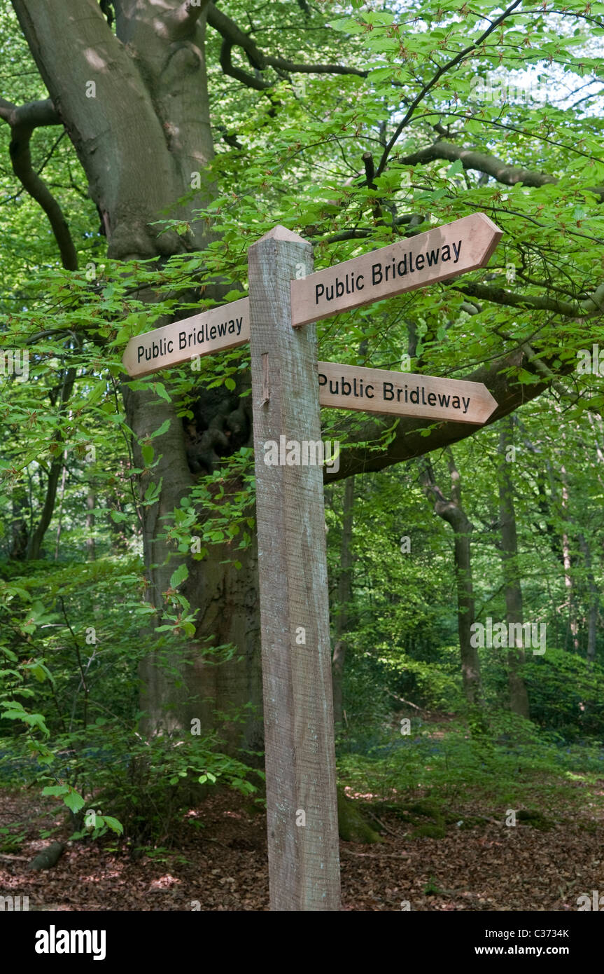 Public Bridleway sign. Surrey, England, UK Stock Photo - Alamy