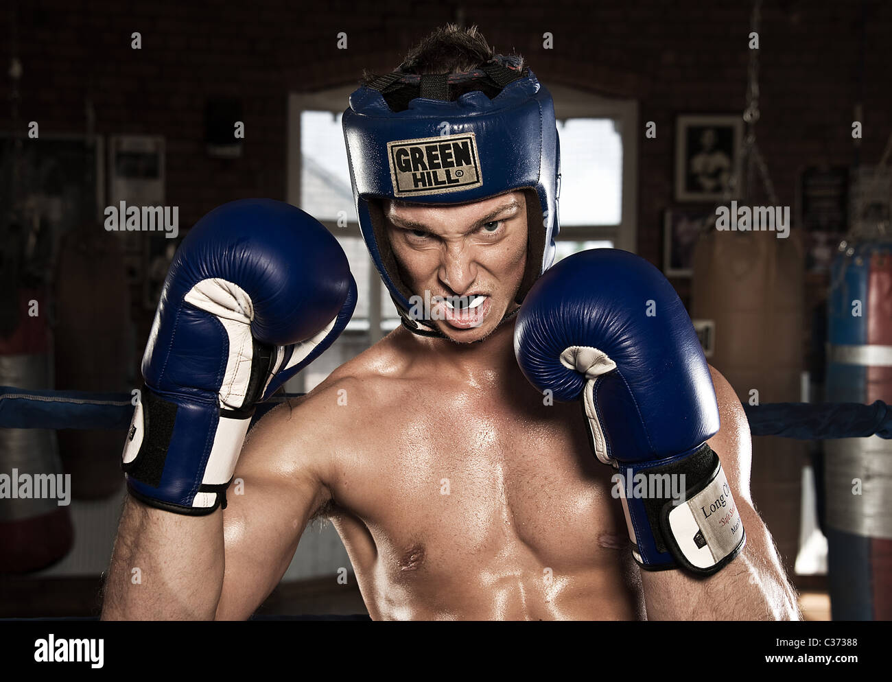 Portrait of male boxer Stock Photo - Alamy