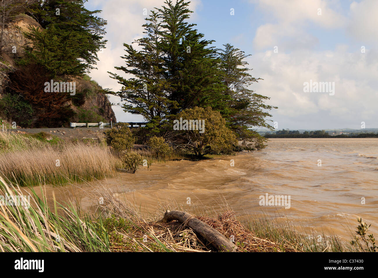 Tokatoka hi-res stock photography and images - Alamy