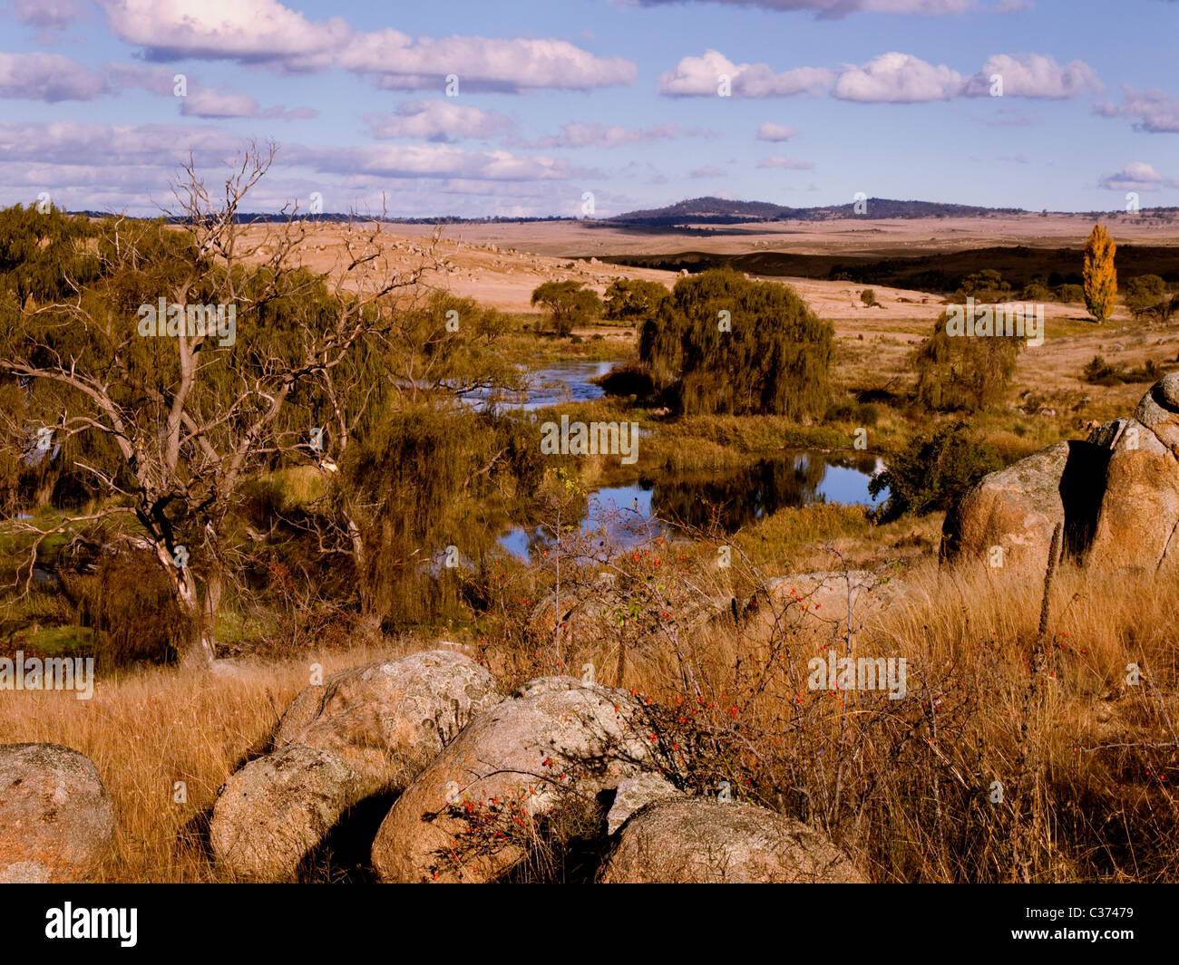 Snowy River near Dalgety, Snowy Mountains, NSW, Australia Stock Photo ...