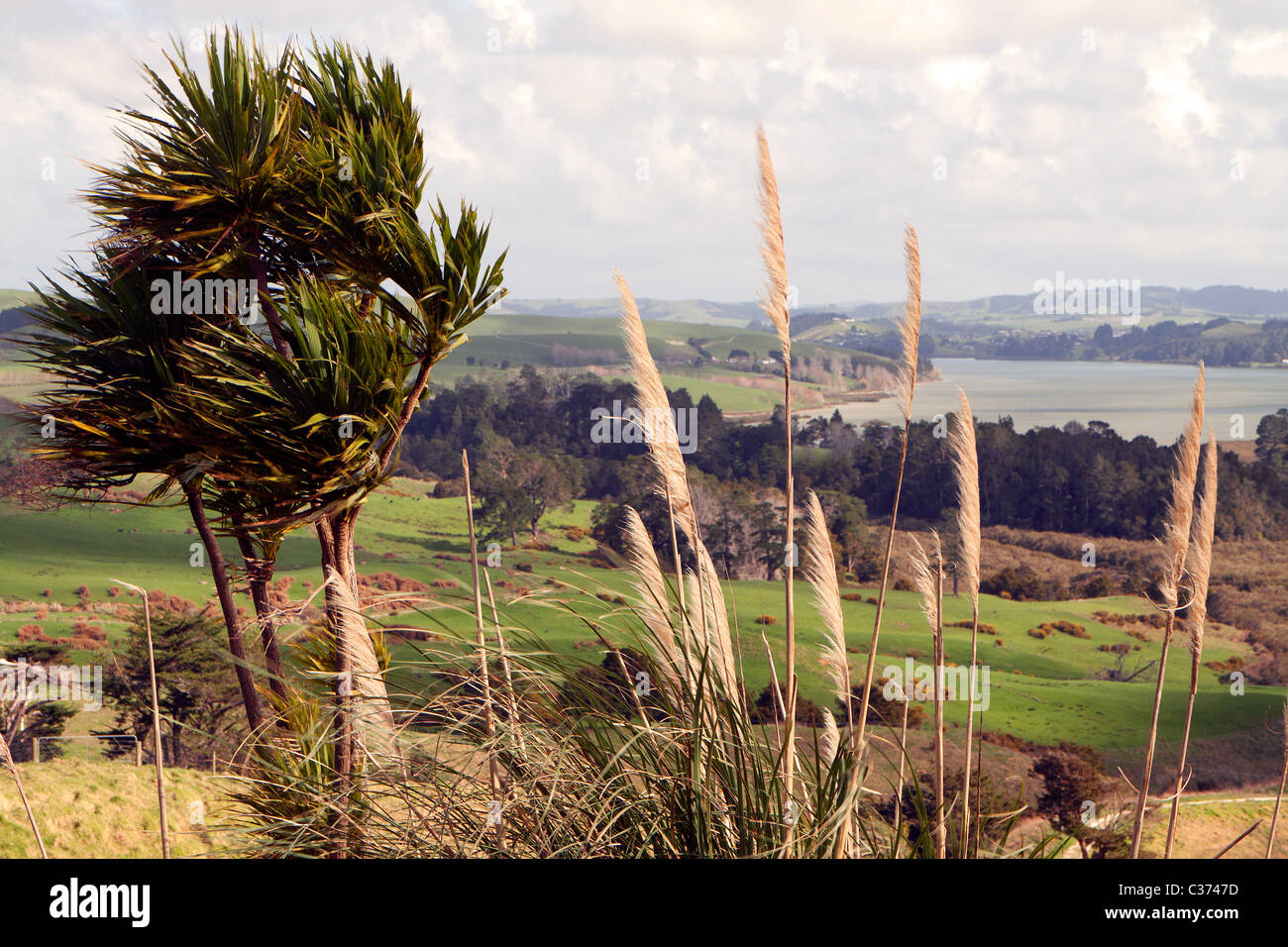 Tokatoka hi-res stock photography and images - Alamy