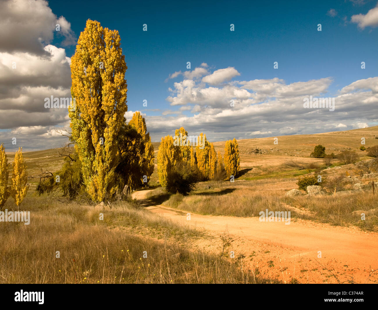 Berridale nsw hi-res stock photography and images - Alamy
