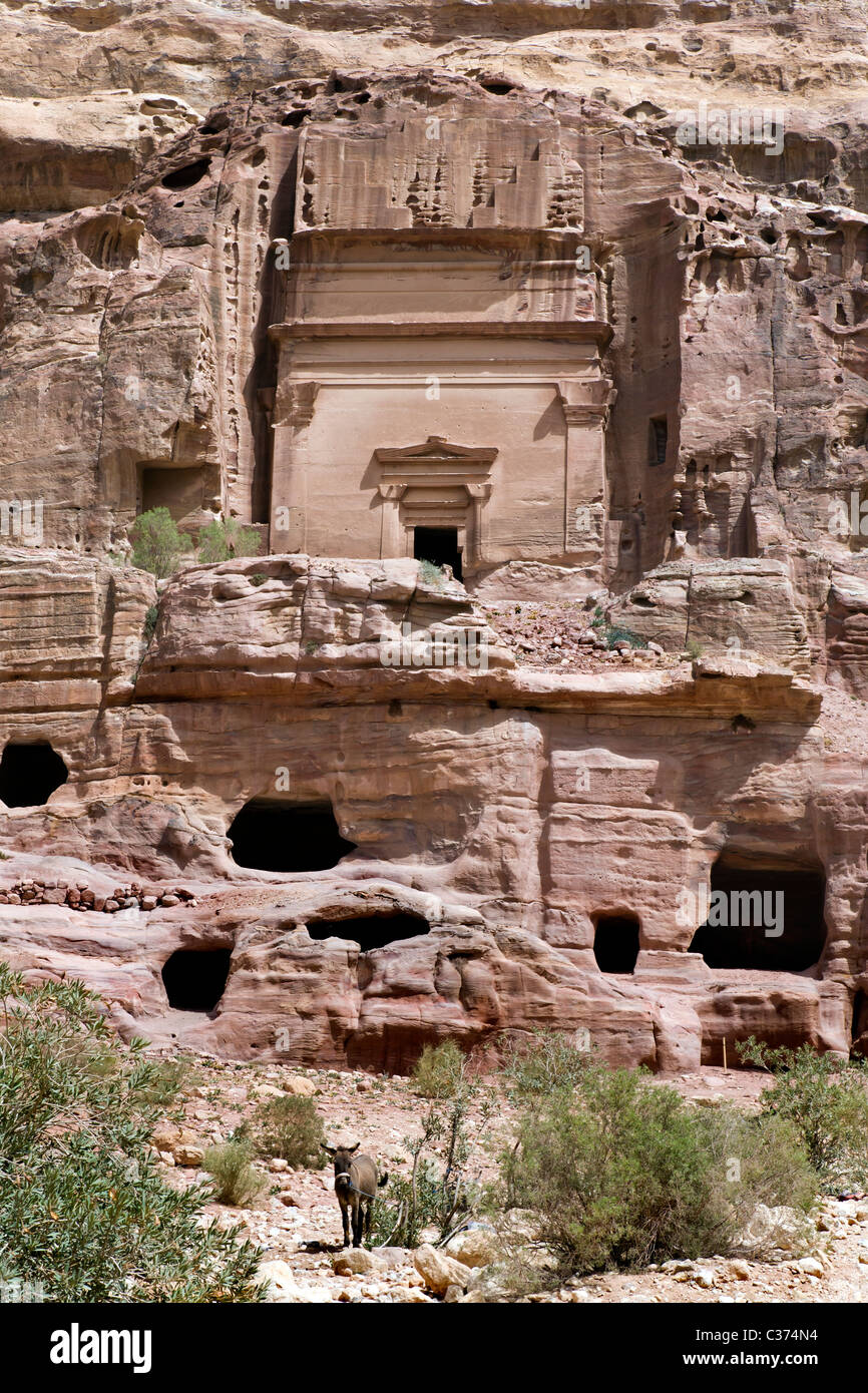 TOMBS AT THE ROSE RED CITY AT PETRA. JORDAN Stock Photo - Alamy