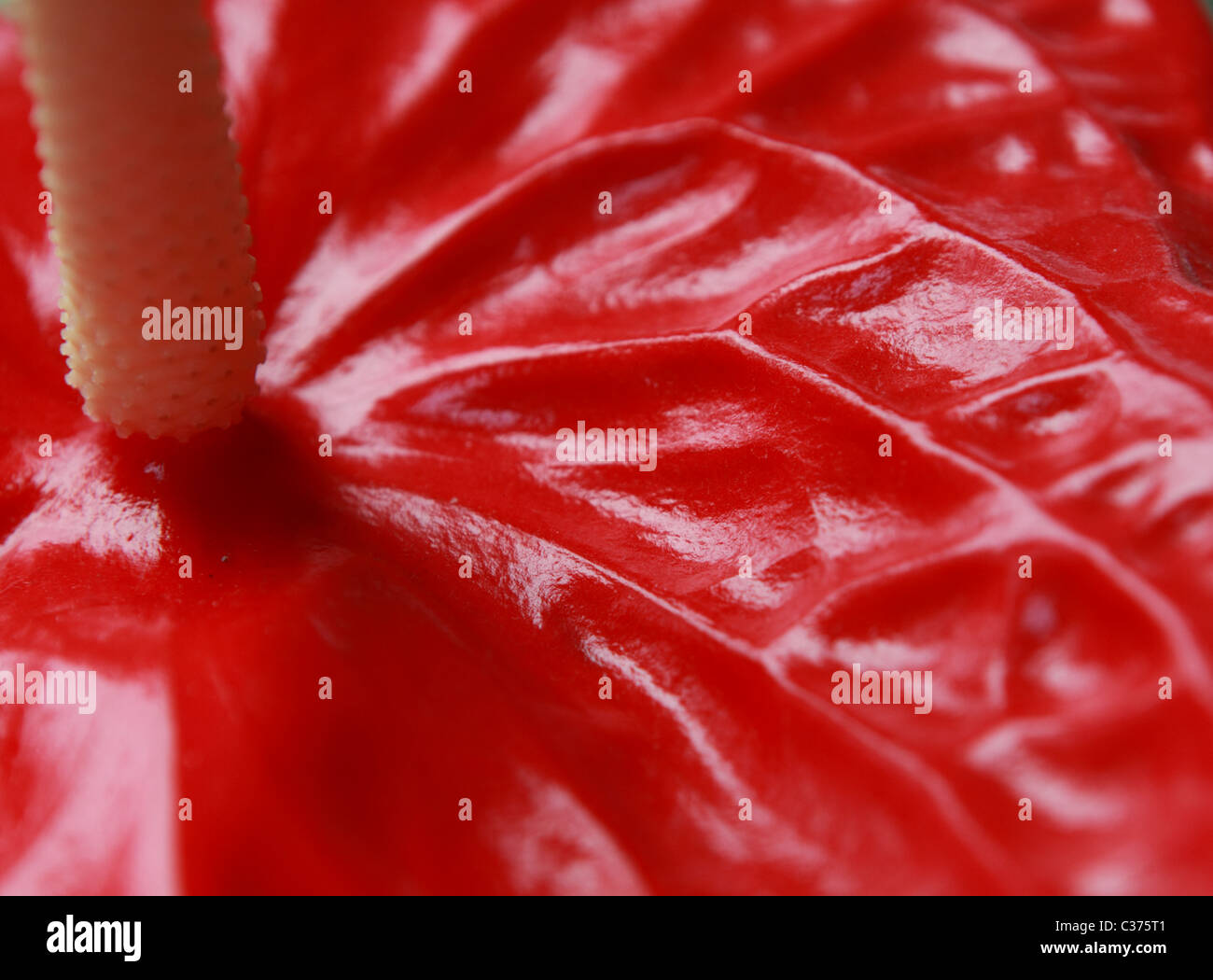 red abstract natural texture of flower Stock Photo - Alamy