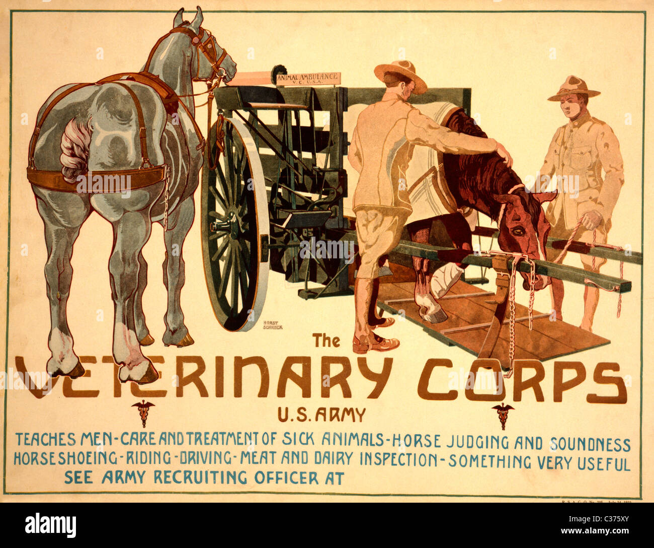 The Veterinary Corps, U.S. Army Recruiting Poster 1919 Stock Photo - Alamy
