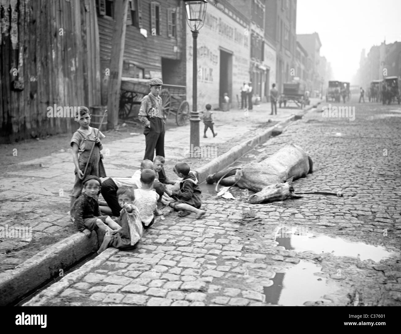 The close of a career in New York - A dead horse on the street in New ...