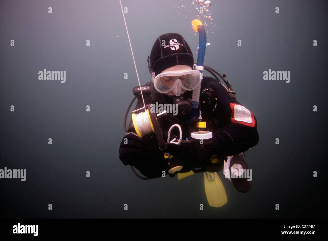 A female diver monitors her computer as she carries out a safety-stop ...