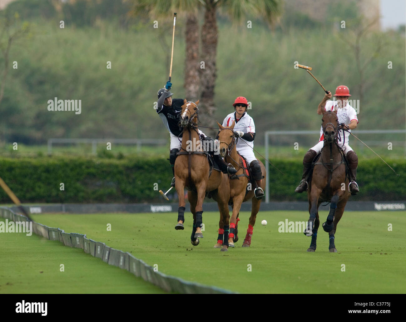 Polo players in action during match Stock Photo - Alamy