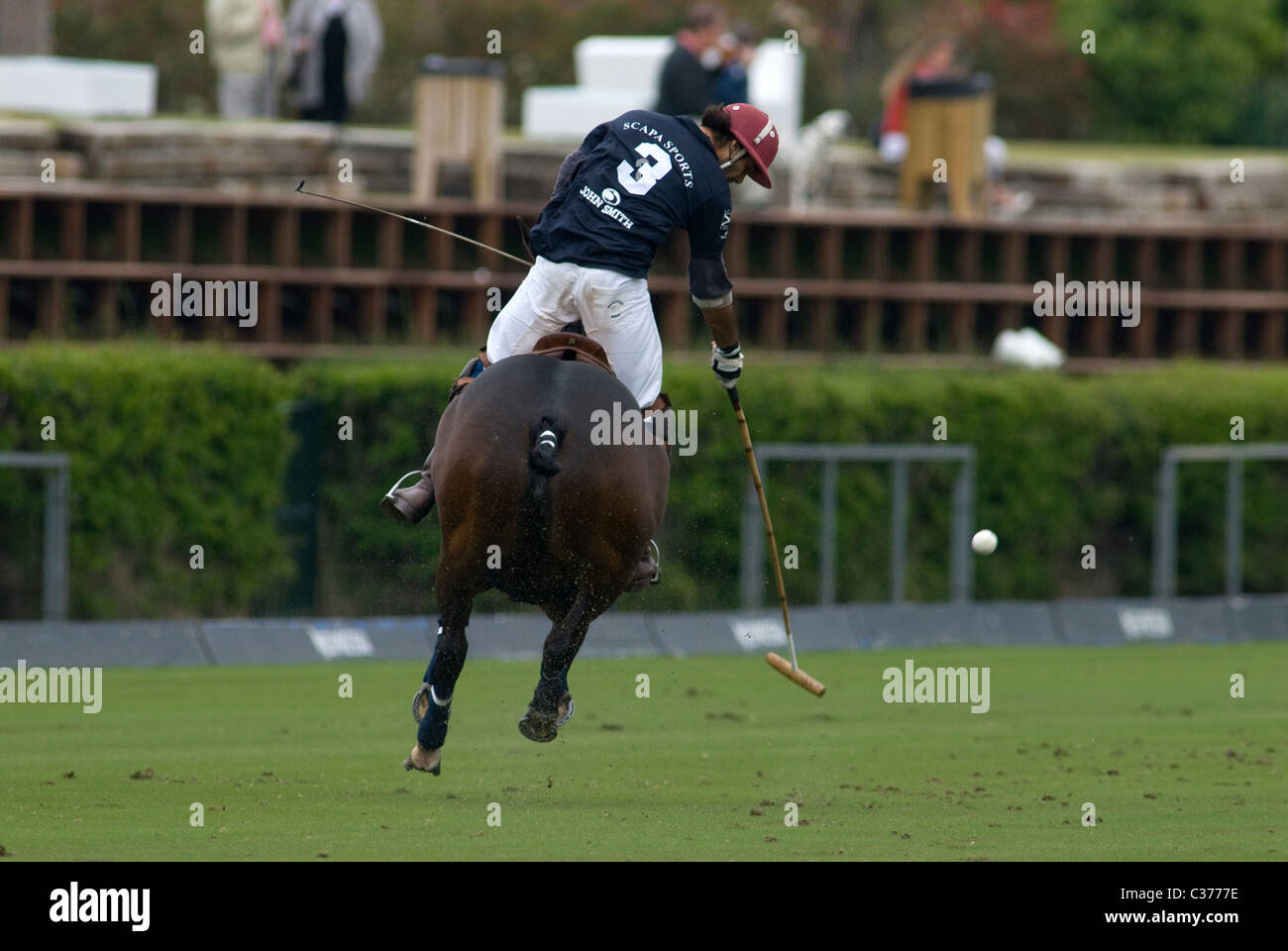 Polo player striking ball during match Stock Photo - Alamy