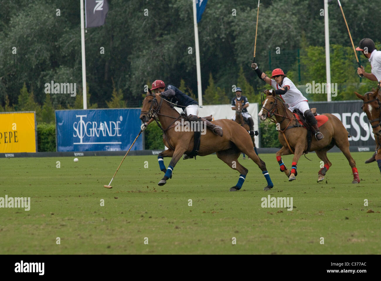 Polo players chasing ball during match Stock Photo - Alamy