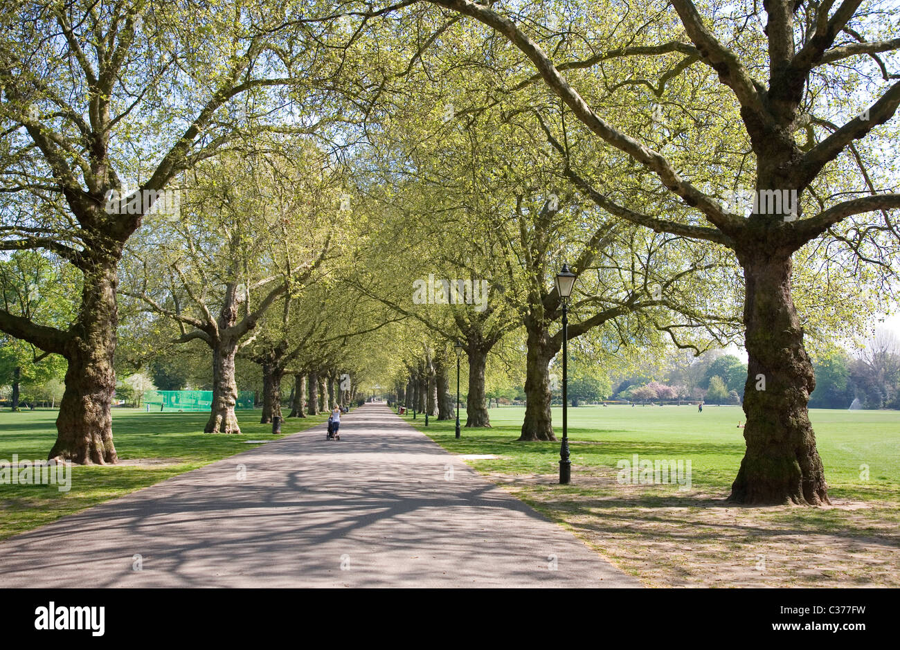 Battersea Park Path Stock Photo - Alamy
