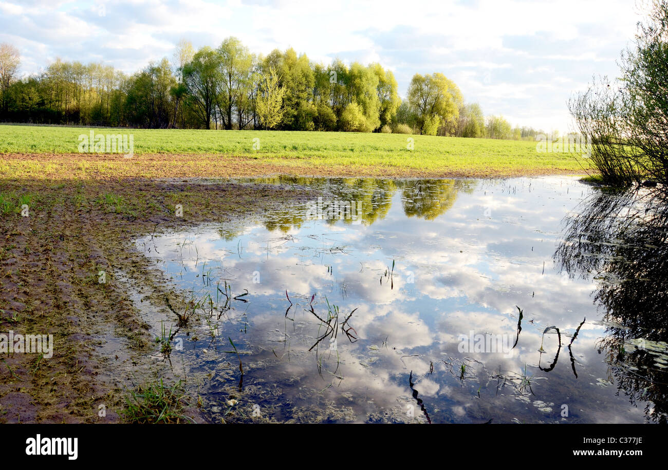 early morning spring landscape with water and clouds Stock Photo - Alamy