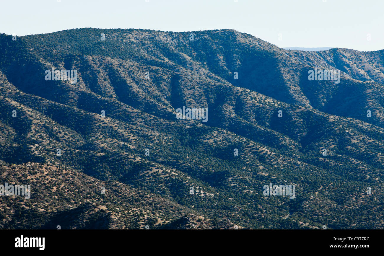 The Sandia mountain foothills outside Albuquerque, New Mexico, USA ...