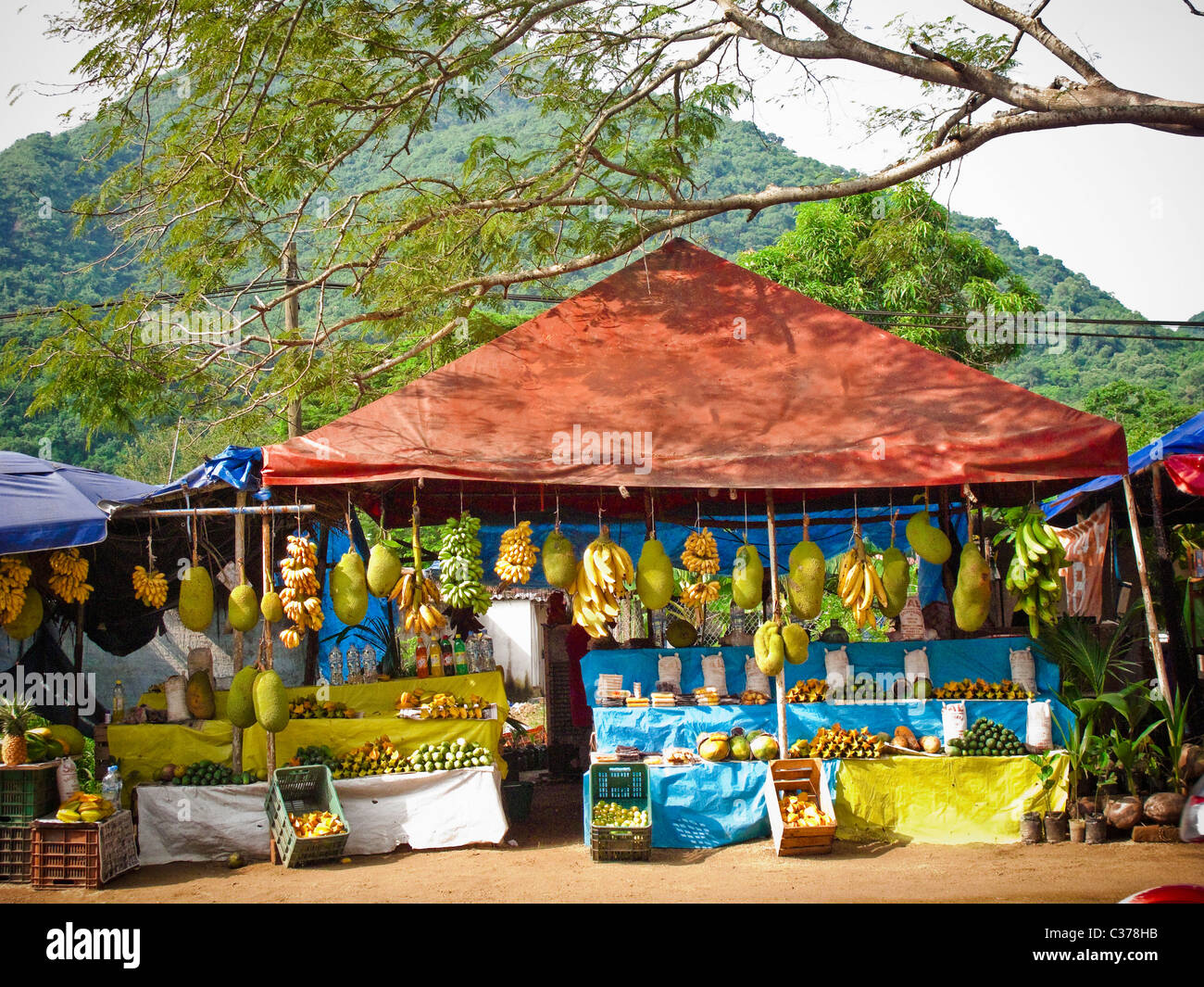 fruit stand in manzanillo, colima, mexico Stock Photo - Alamy