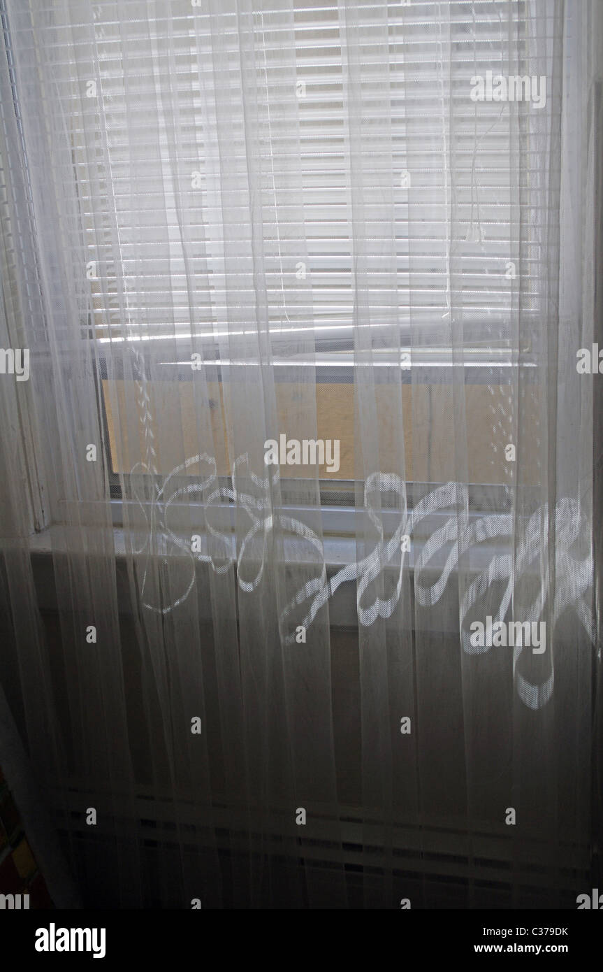 strip of sunlight phenomena resembling calligraphy on sheer window ...