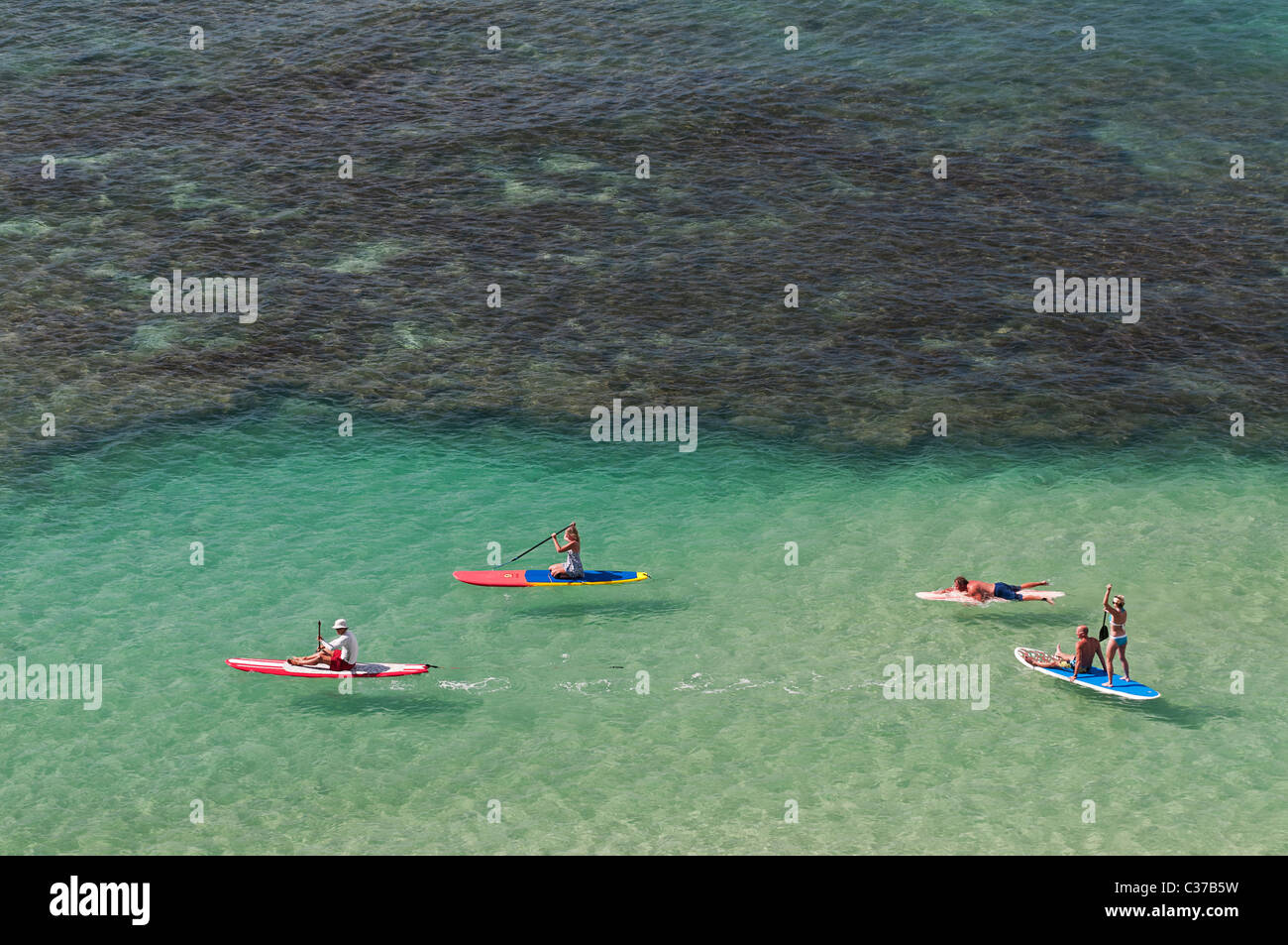 Hawaii Travel; a high angle view of paddle boarders and a surfer ...