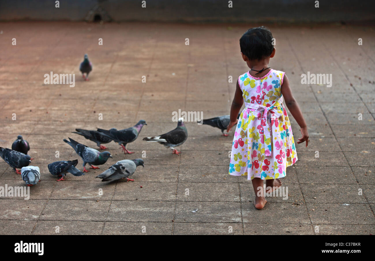 Girl trying to catch pigeons Sri Lanka Asia Stock Photo - Alamy