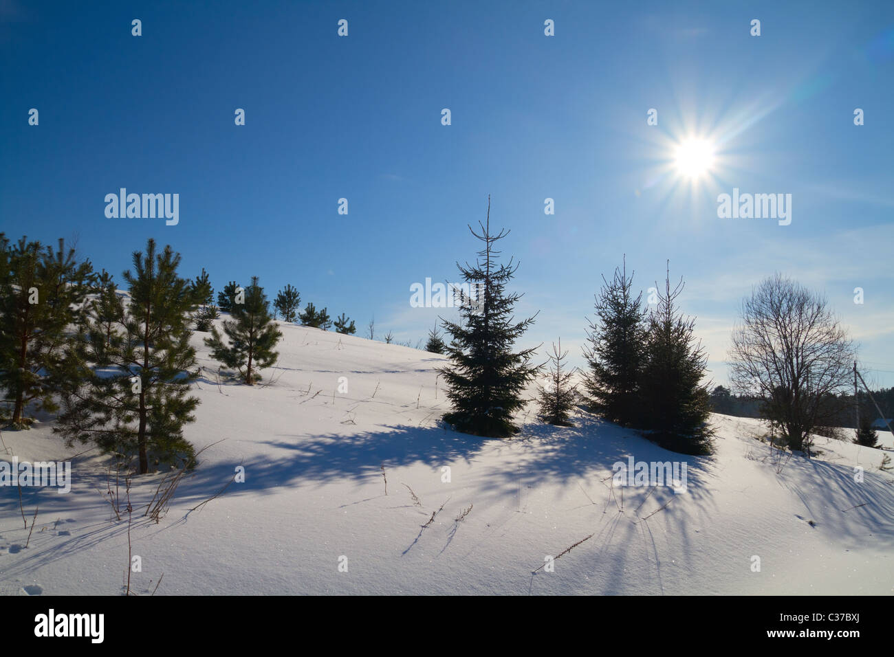 winter landscape, sun Stock Photo - Alamy
