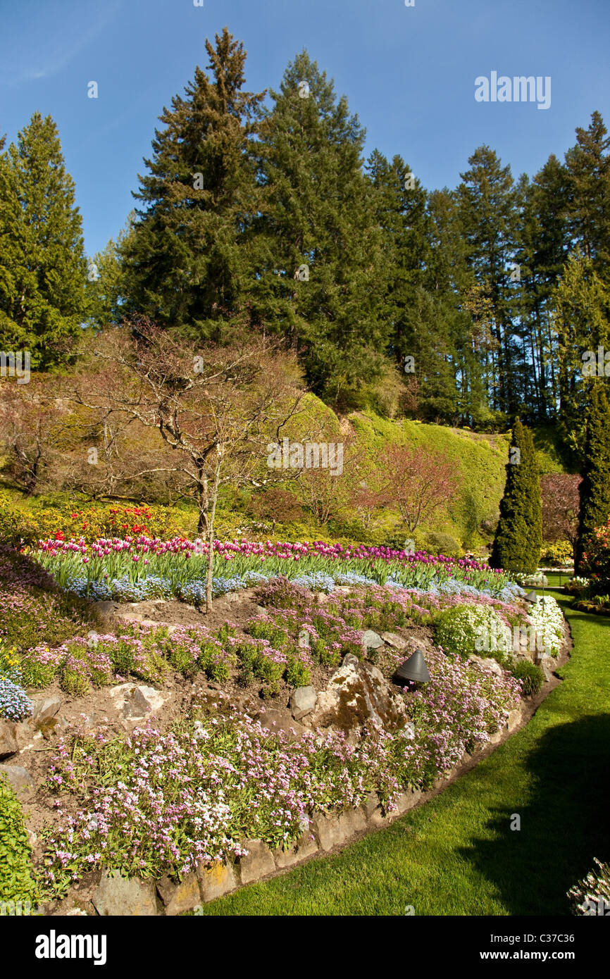 Sunken Garden. Spring at Butchart Gardens. Victoria, BC, Canada Stock ...