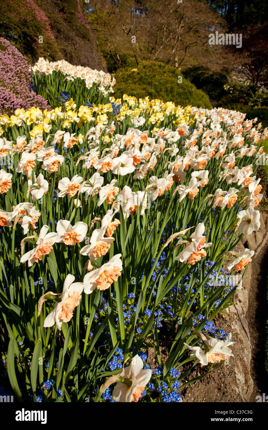 Beautiful city of victoria bc hi-res stock photography and images - Alamy