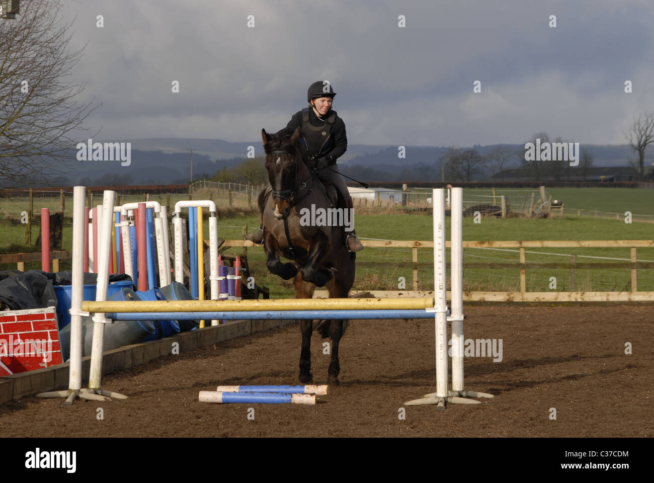 Showjumping horse hi-res stock photography and images - Alamy