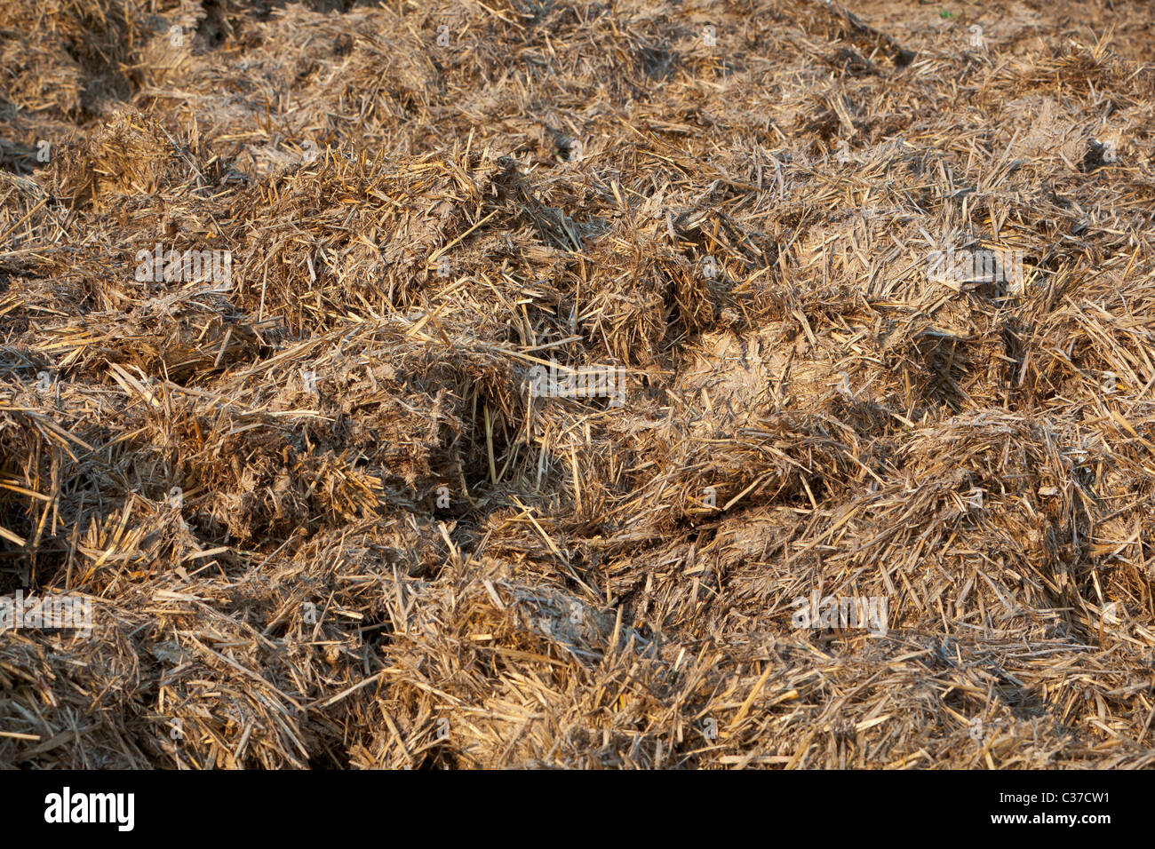 Dung straw heap Stock Photo - Alamy Dung straw heap Stock Photo - Alamy