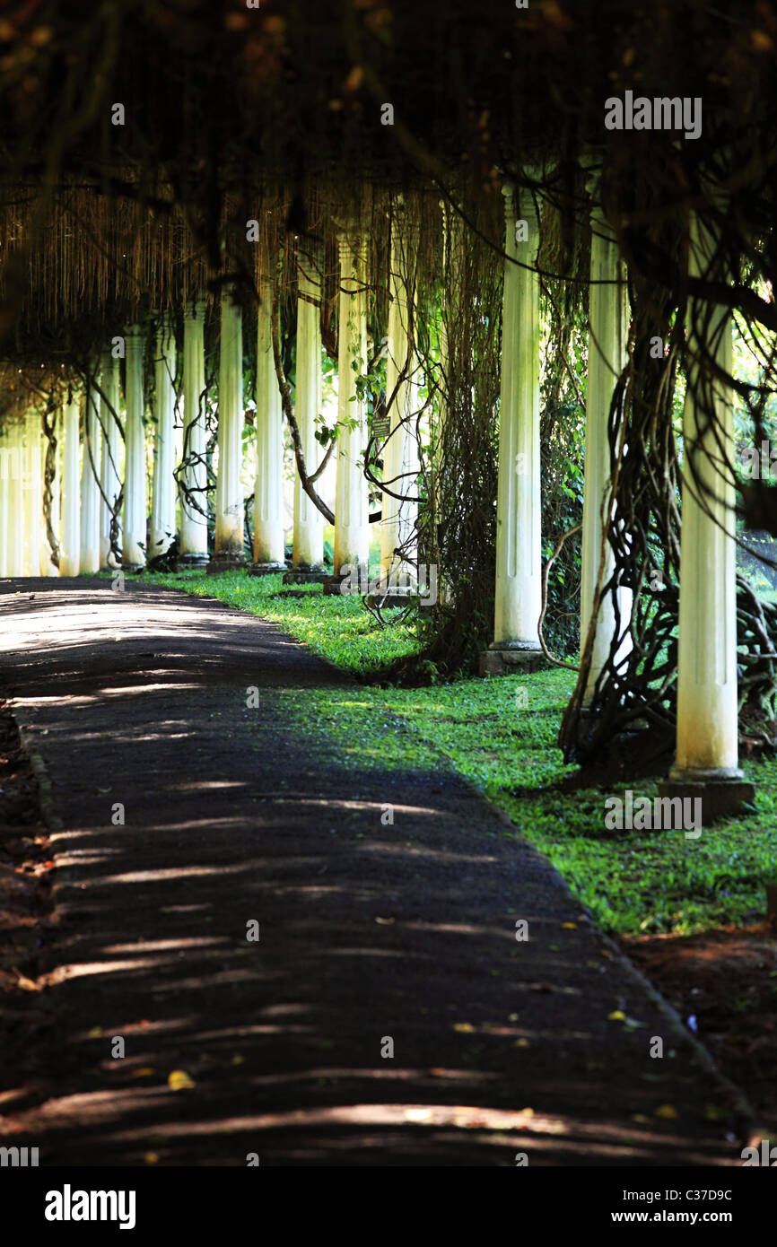 Sri lanka colombo path hi-res stock photography and images - Alamy