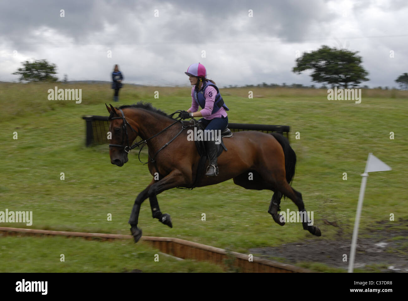 Horse jumping cross country Stock Photo - Alamy