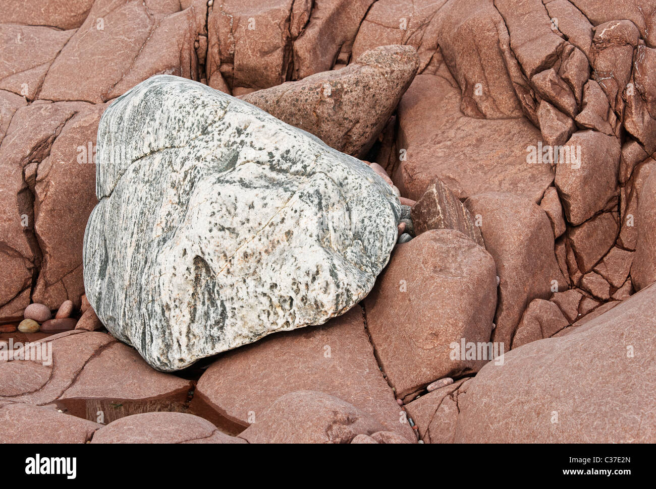 Torridonian Sandstone bedrock and a Lewisian Gneiss erratic boulder ...