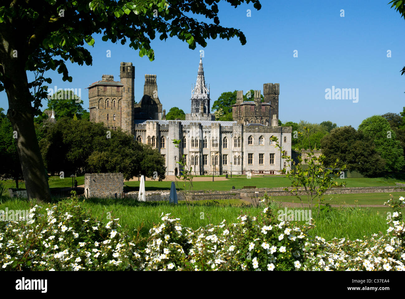 Cardiff castle hi-res stock photography and images - Alamy
