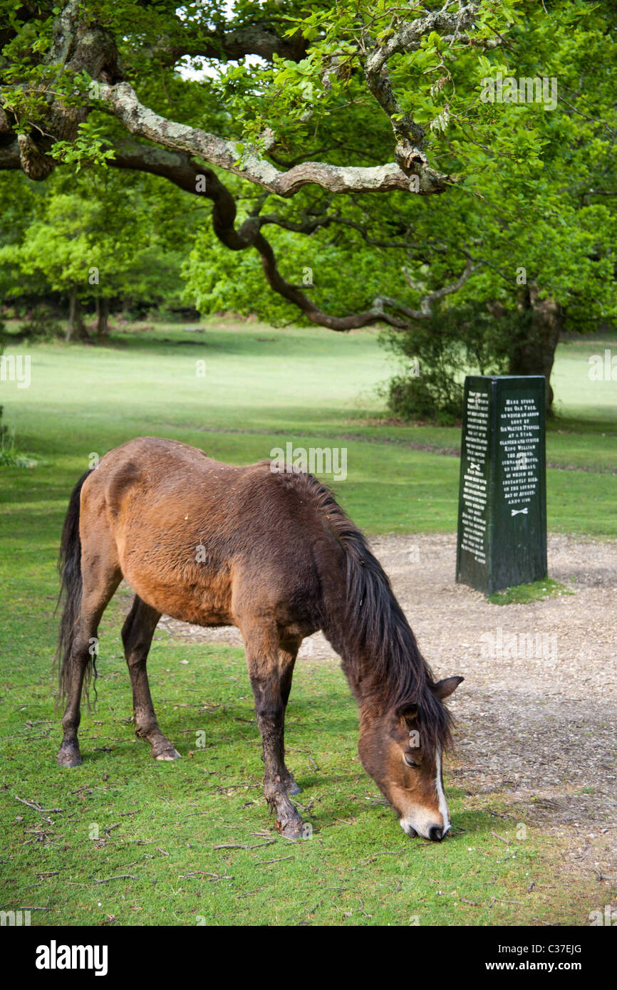 The rufus stone hi-res stock photography and images - Alamy