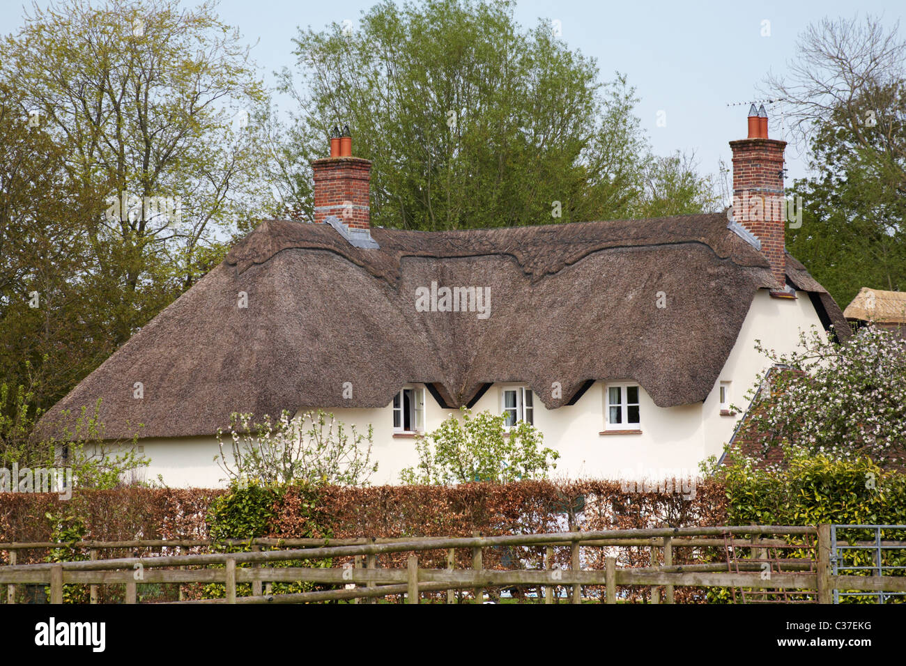 charming L-shaped thatched cottages in Tarrant Monkton, Dorset in April ...