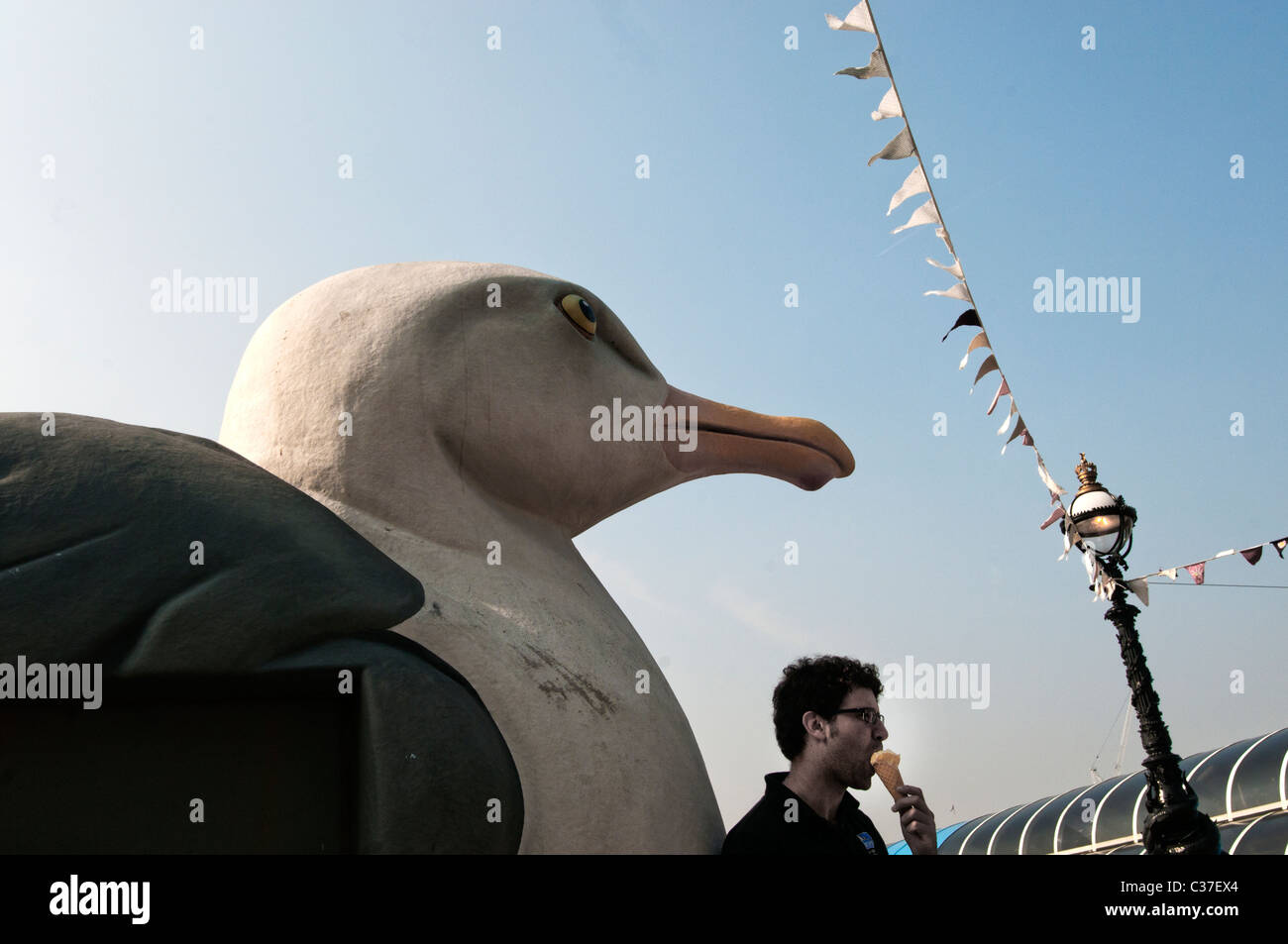 Ice cream seagull High Resolution Stock Photography and Images - Alamy