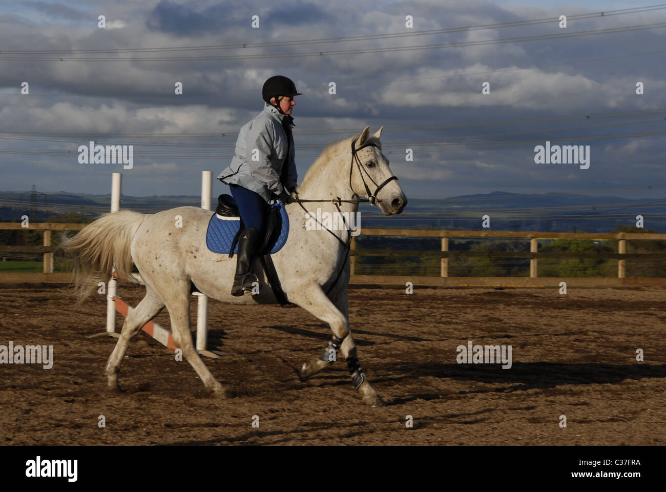 Lipizzaner Horses Jumping