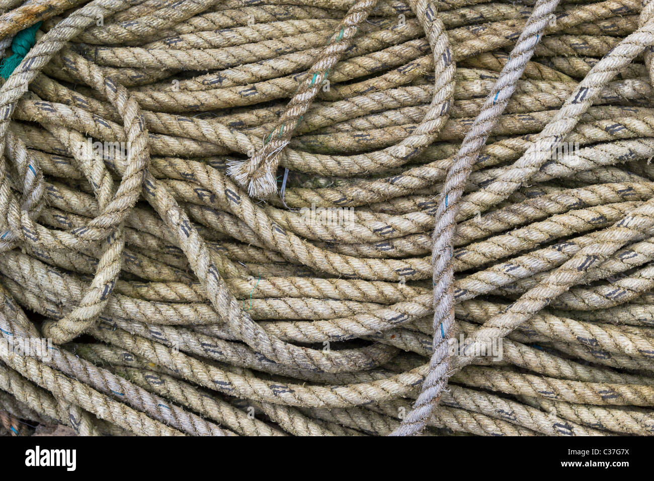 Manila hemp loose marine rope in tangled pile Stock Photo - Alamy