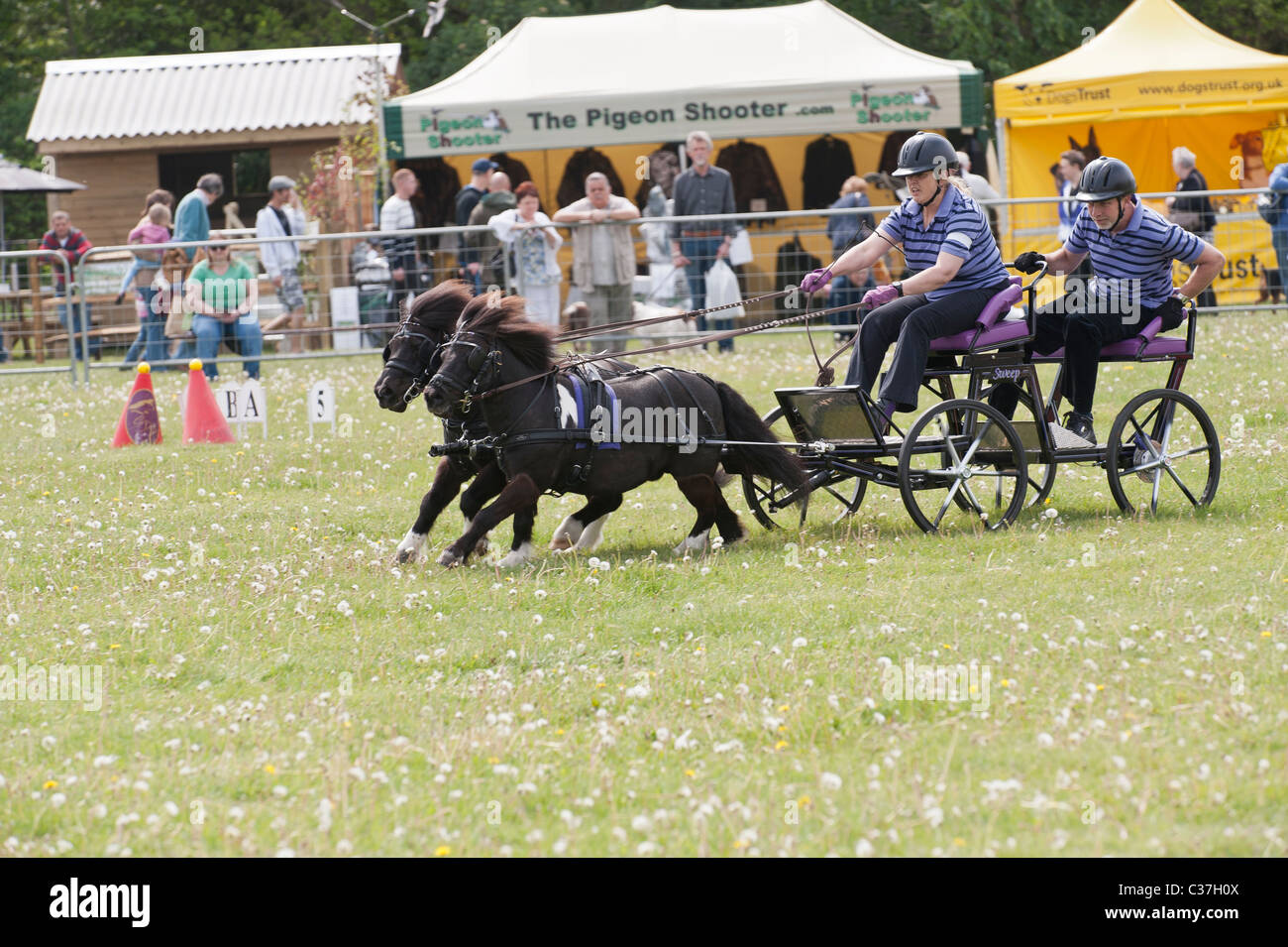Scurry Racing at the Hampshire Country Fair at Broadlands, Romsey ...
