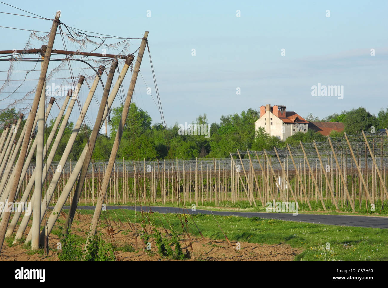 Hop kiln hi-res stock photography and images - Alamy