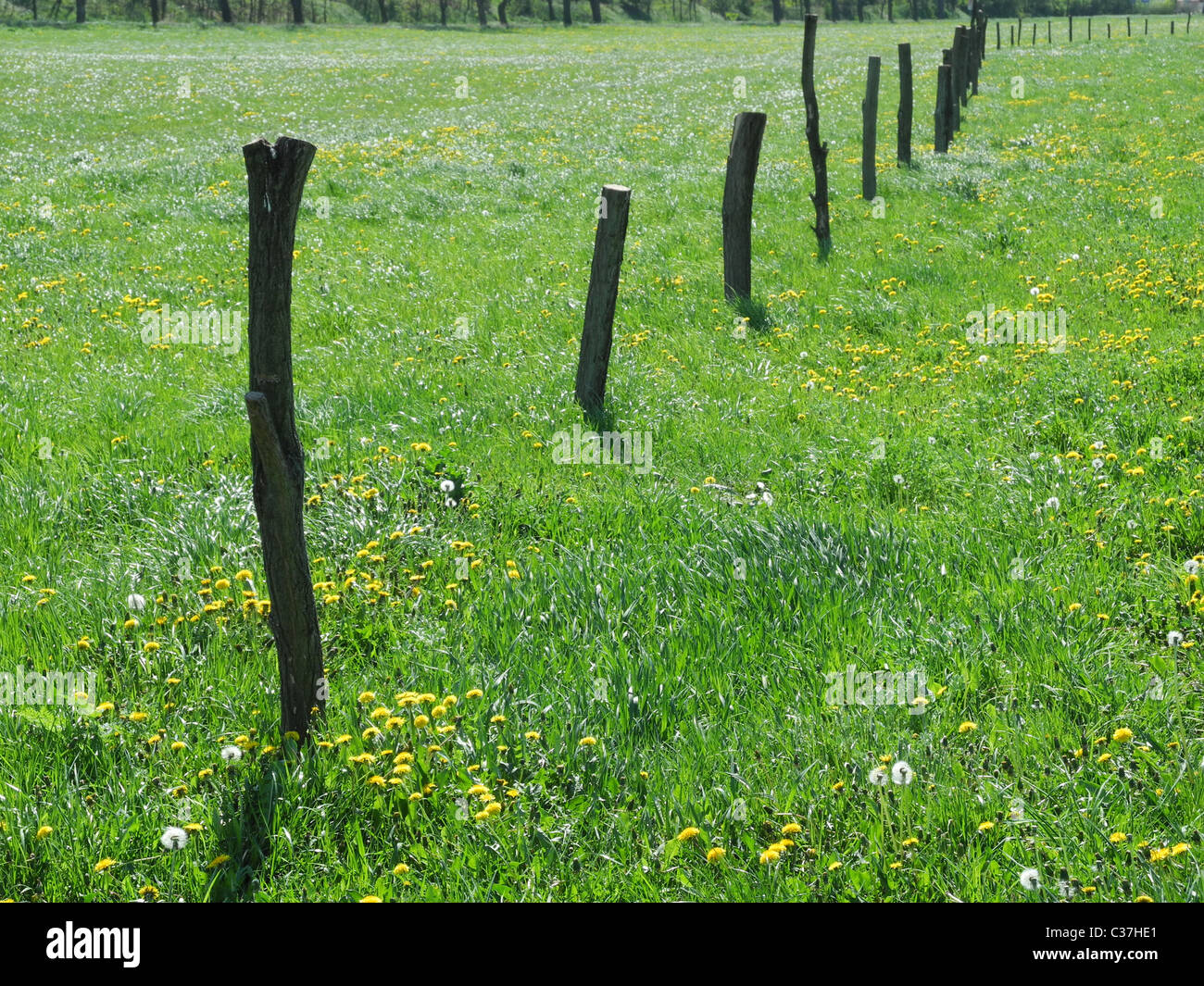 Palisade fencing hi-res stock photography and images - Alamy