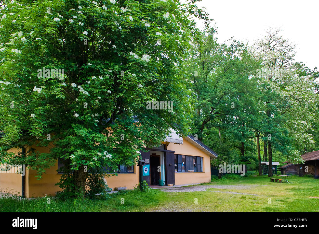 Vanzago WWF Center forest, Italy Stock Photo - Alamy
