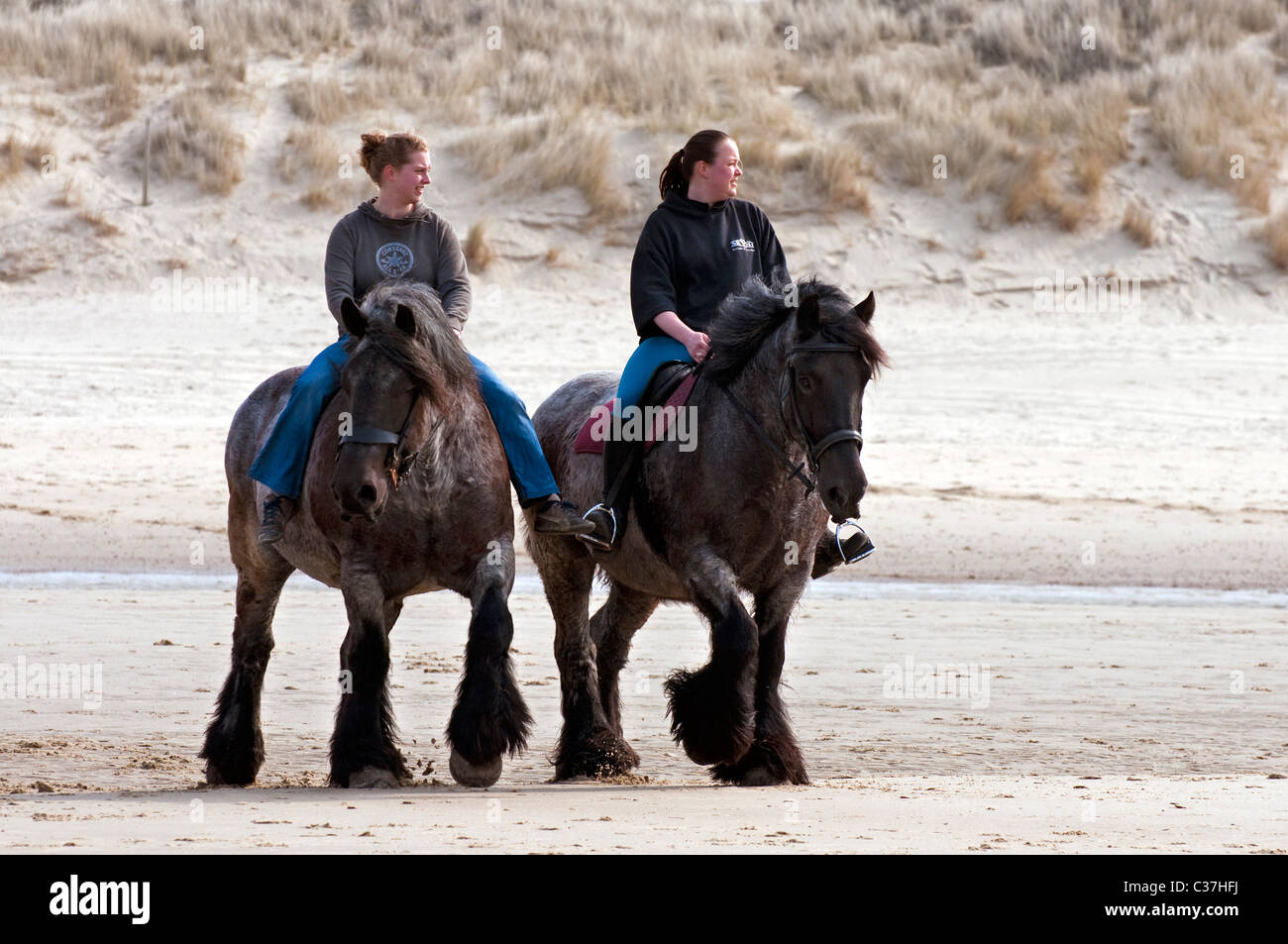 Two women riding draught horses on beach, Province of Zeeland, the ...