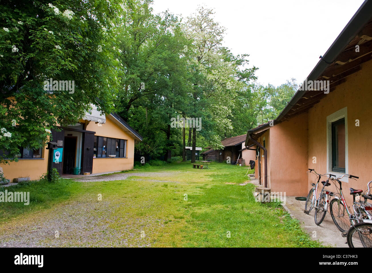 Vanzago WWF Center forest, Italy Stock Photo - Alamy