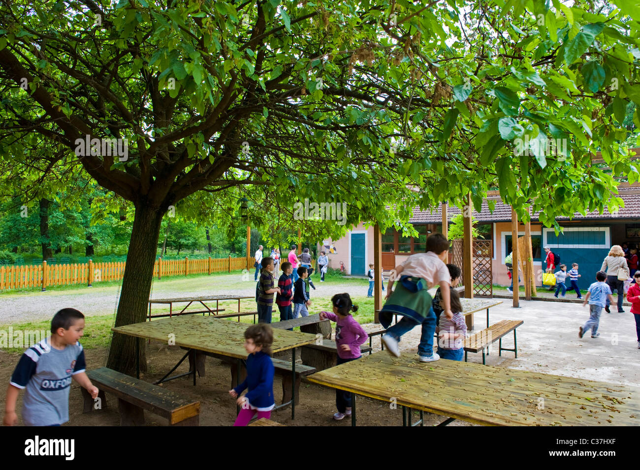 Vanzago WWF Center forest, Italy Stock Photo - Alamy