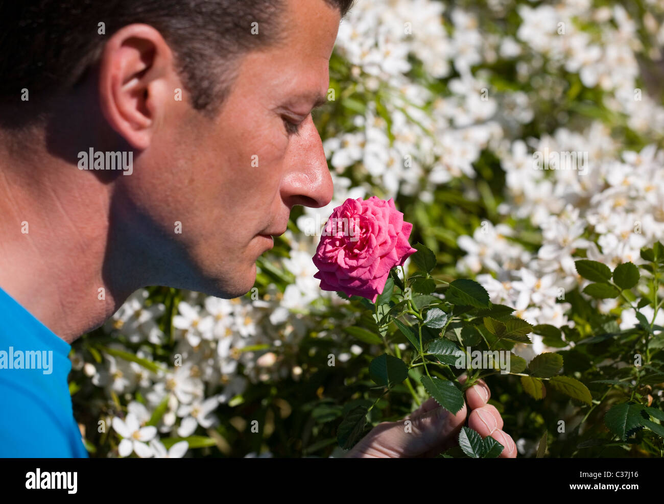 Man sniffing a flower hi-res stock photography and images - Alamy