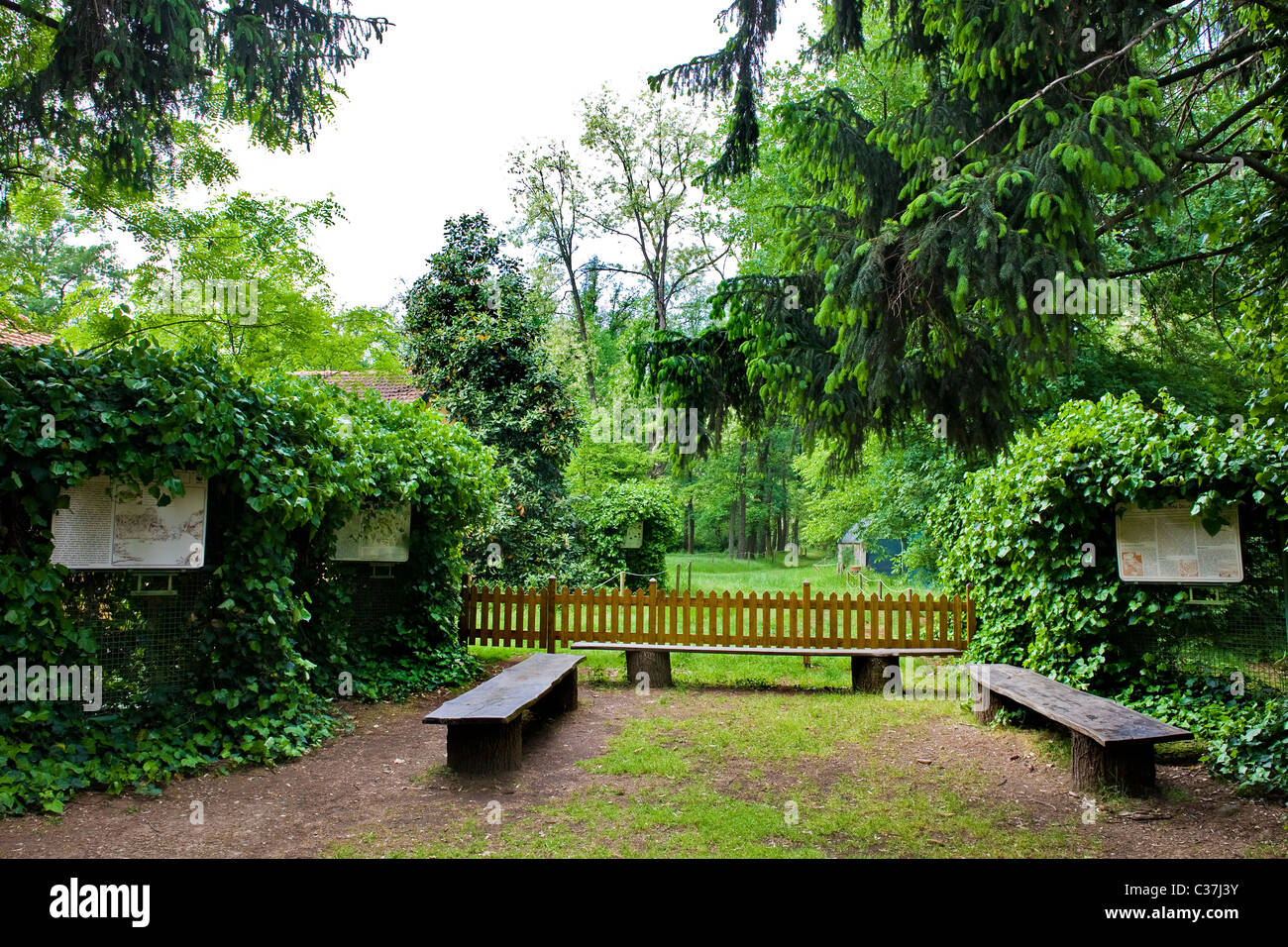 Vanzago WWF Center forest, Italy Stock Photo - Alamy