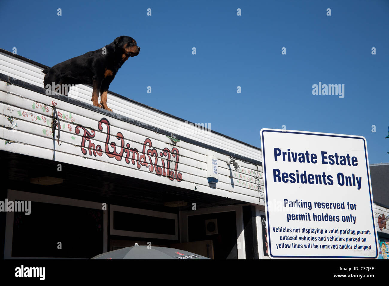 Black dog inn hi-res stock photography and images - Alamy