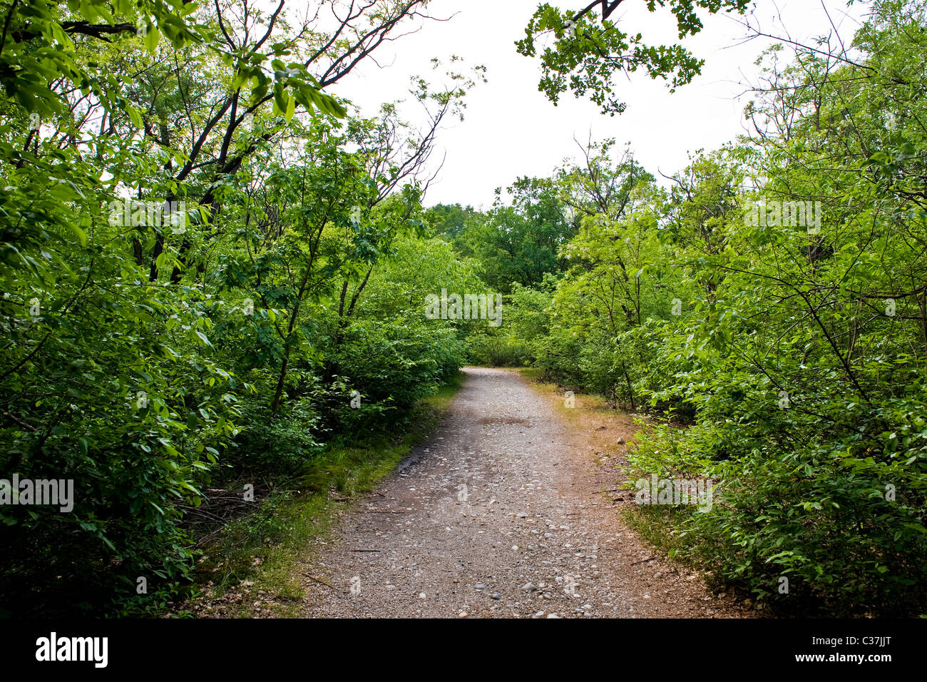 "La Fagiana" natural reserve, Ticino park, Pontevecchio di Magenta ...