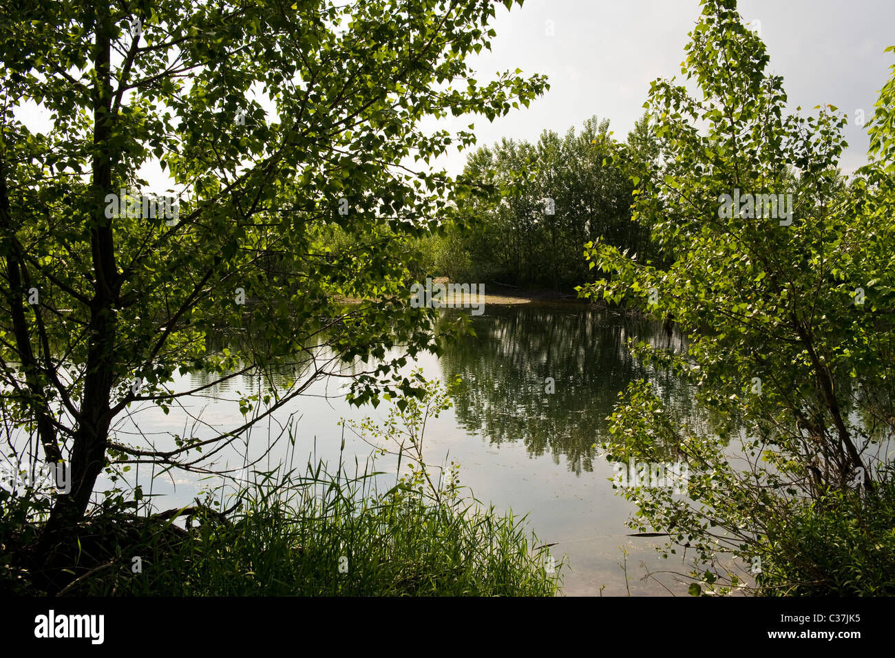 "La Fagiana" natural reserve, Ticino park, Pontevecchio di Magenta ...